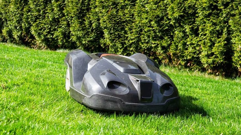 Die Zukunft ist jetzt: Haushaltsroboter vorgestellt - Nova Ratio